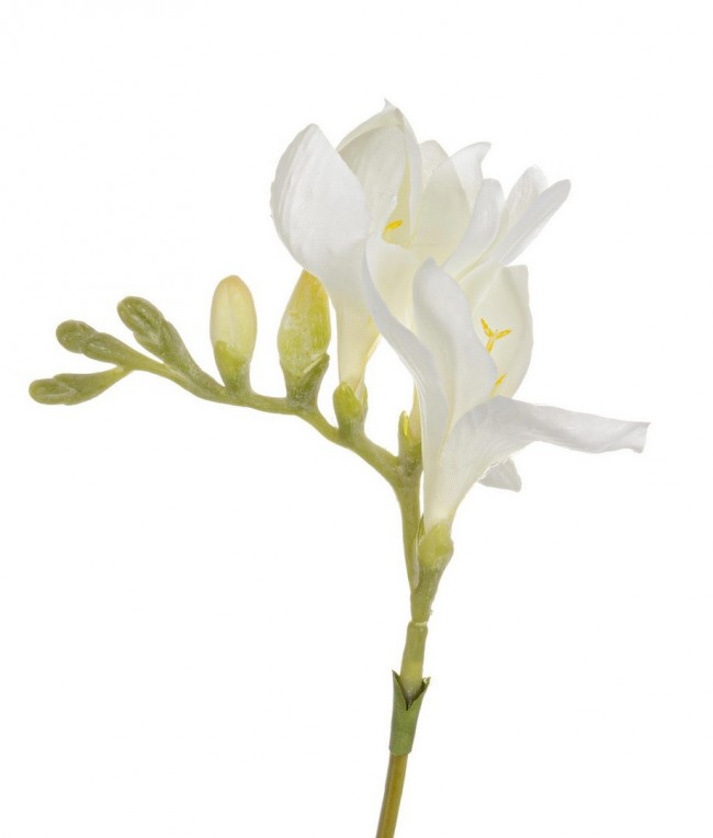 Set 24 flori artificiale Frezia alba verde 62 cm - Decorer