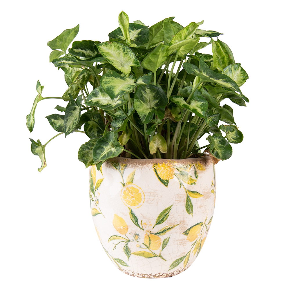 Ghiveci flori ceramica Lemon 18x17 cm - Decorer